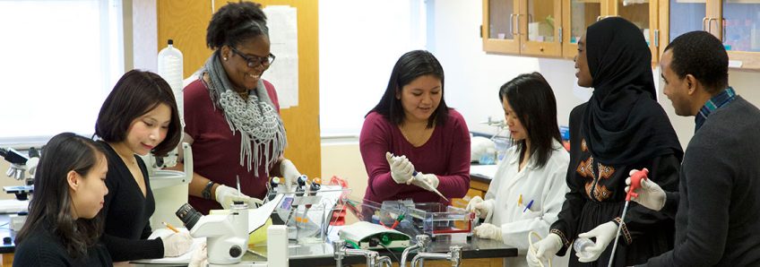 How To Conduct Research/STEM Careers – Office of Research – BMCC