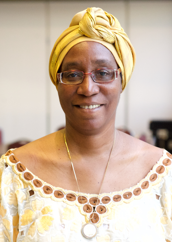 Professor Nkechi Agwu One of 64 Notable Mathematicians Featured by ...