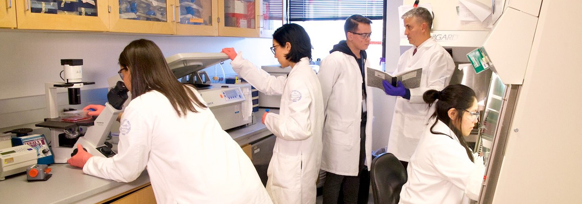 Sponsored Programs – BMCC