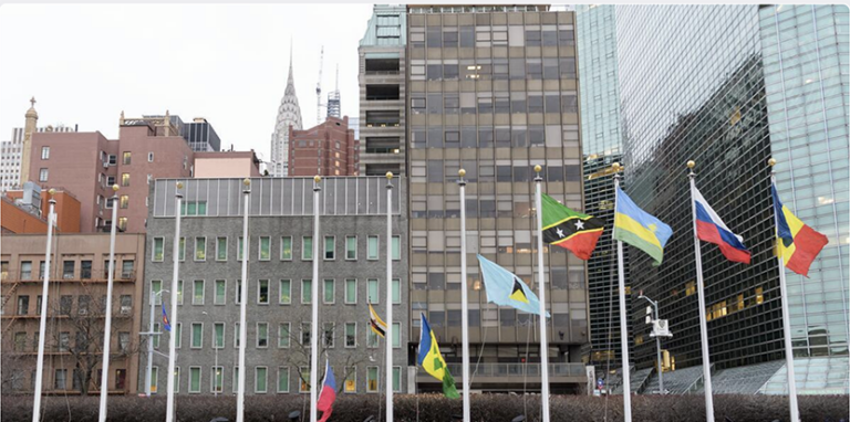 Office of Diplomatic Engagement and Training – BMCC