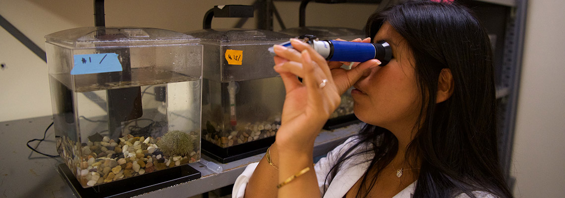 Women in STEM – BMCC