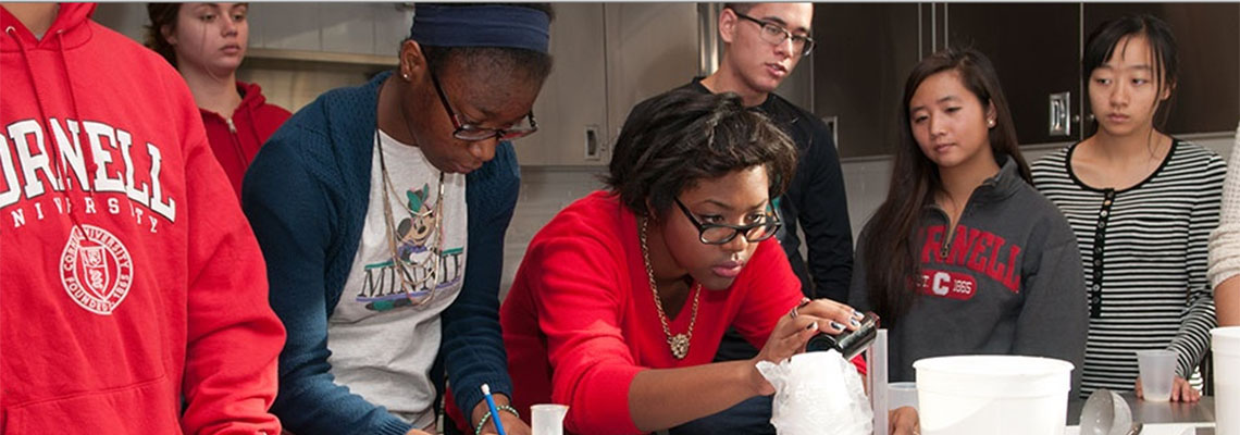 Success Programs – BMCC